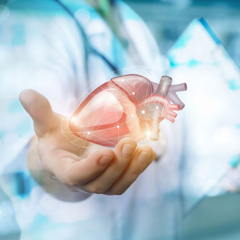 Ssb Heart And Multispecialty Hospital Best Hospital In Faridabad